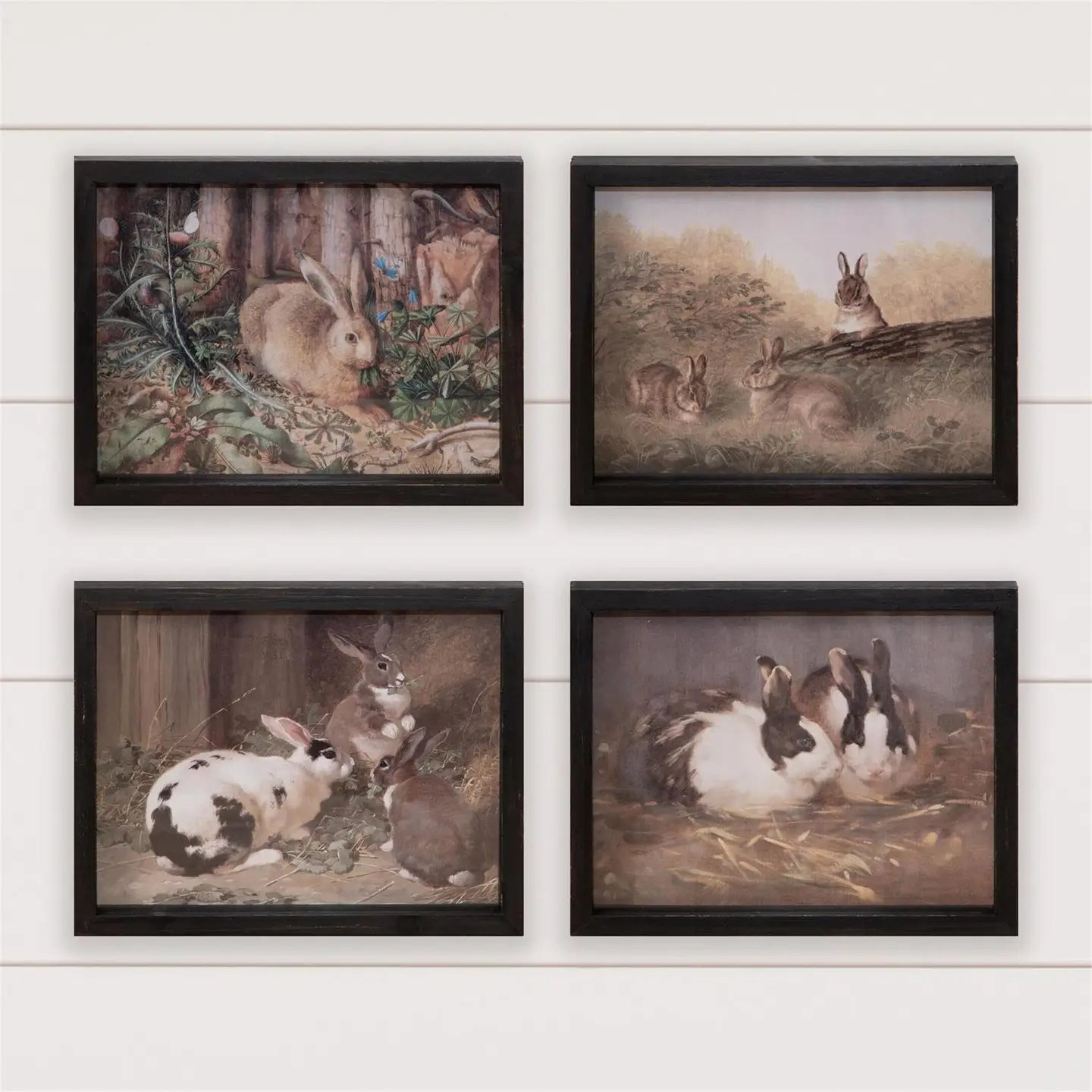 Antique Rabbit Frames – The Farmhouse