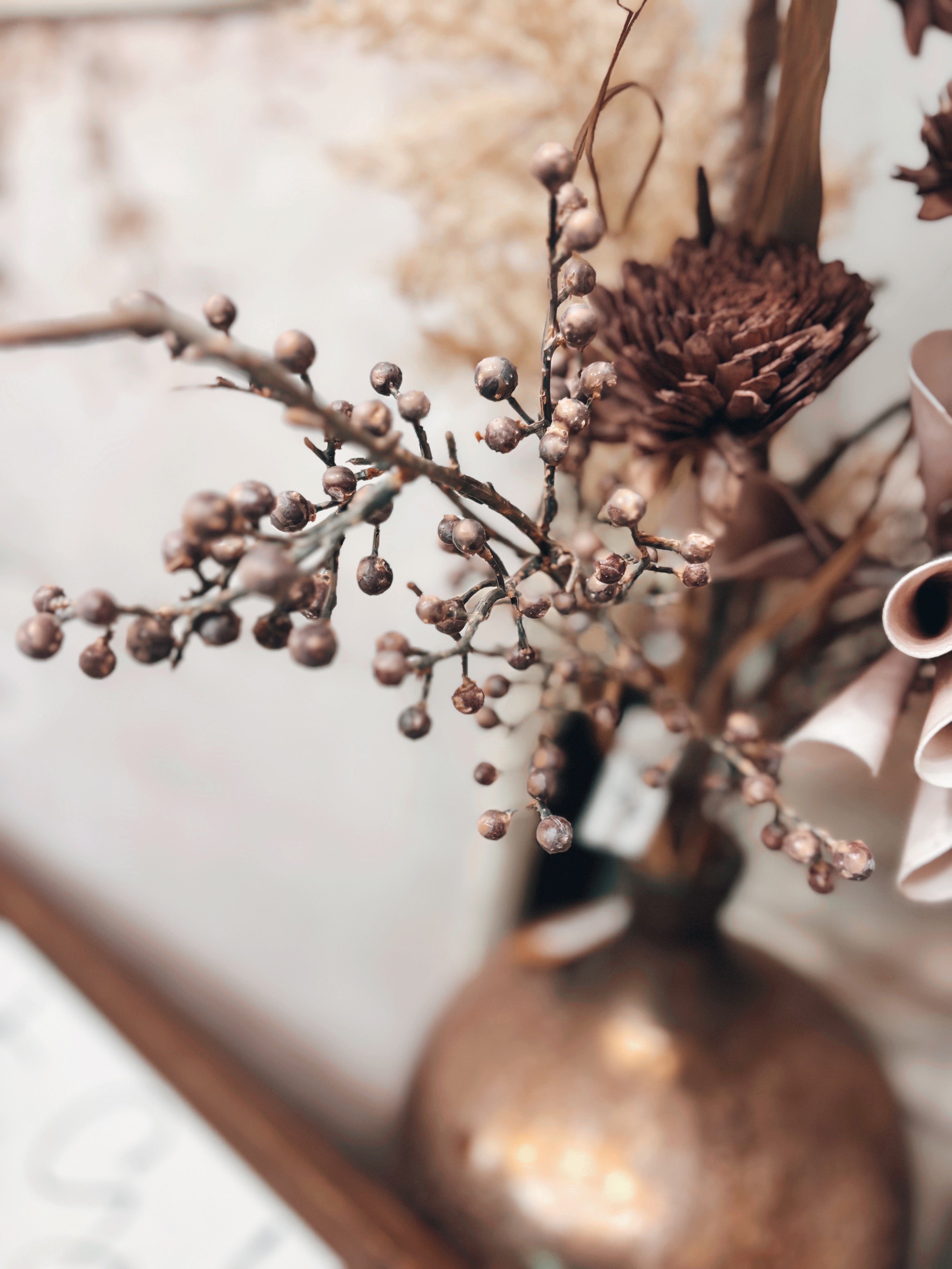 Dried Pod Stem – The Farmhouse